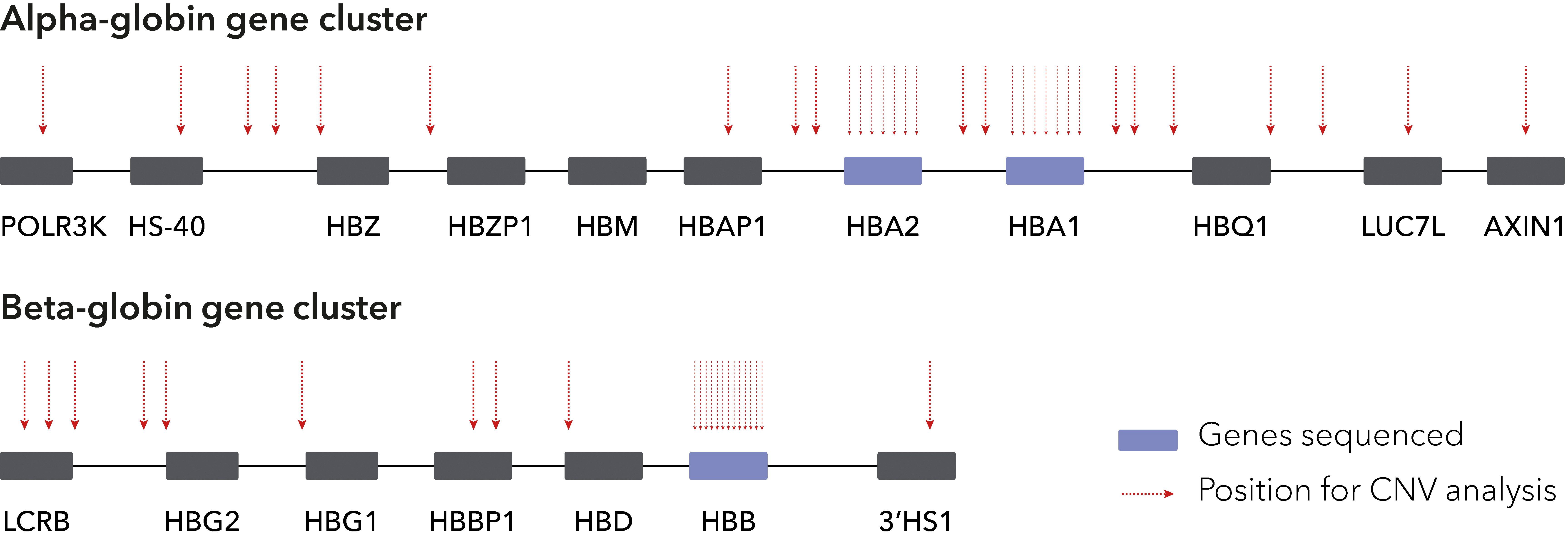 均泰生物科技股份有限公司