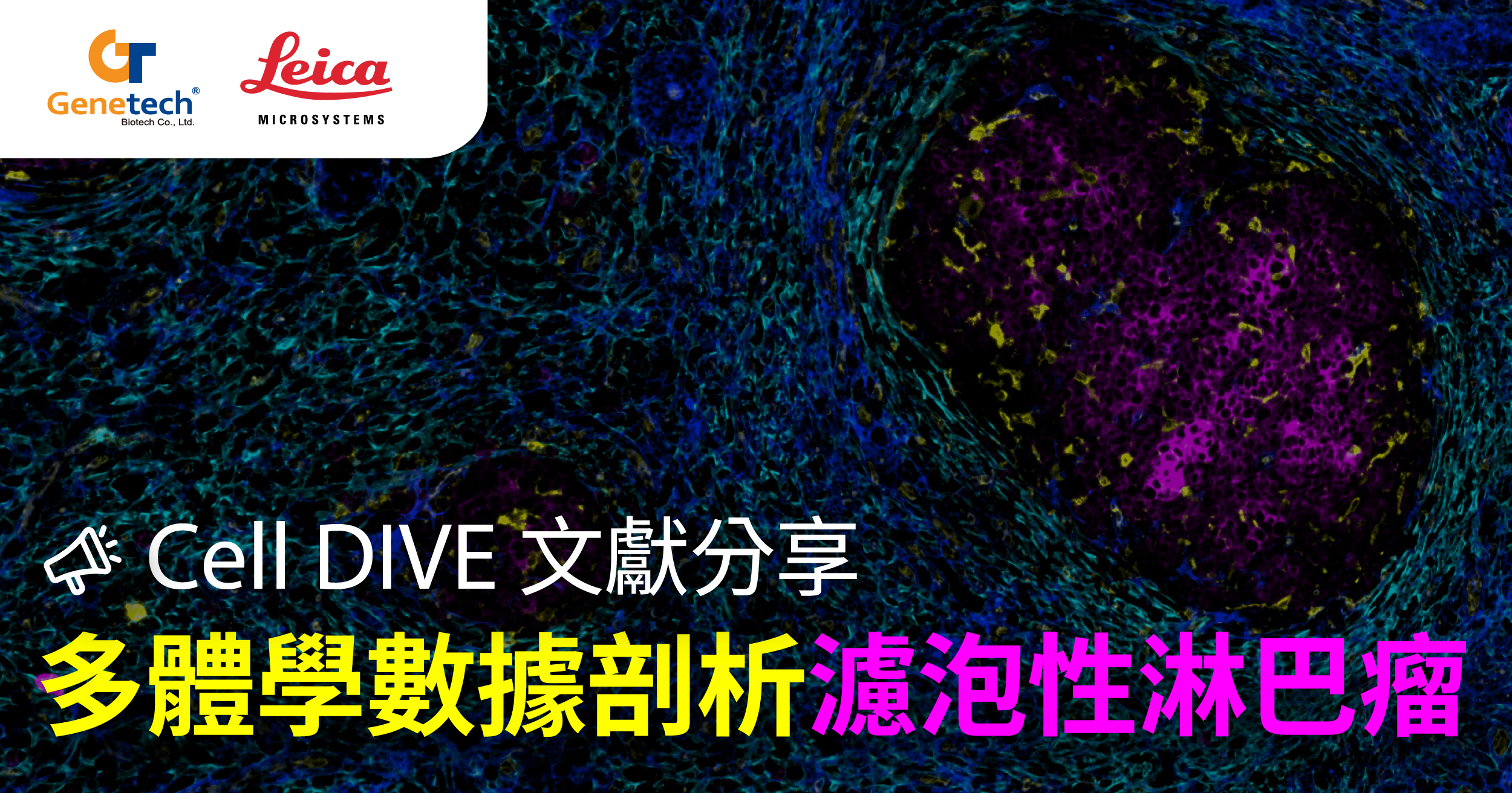 📖【Cell DIVE文獻分享】多體學數據剖析濾泡性淋巴瘤📊|均泰生物科技股份有限公司