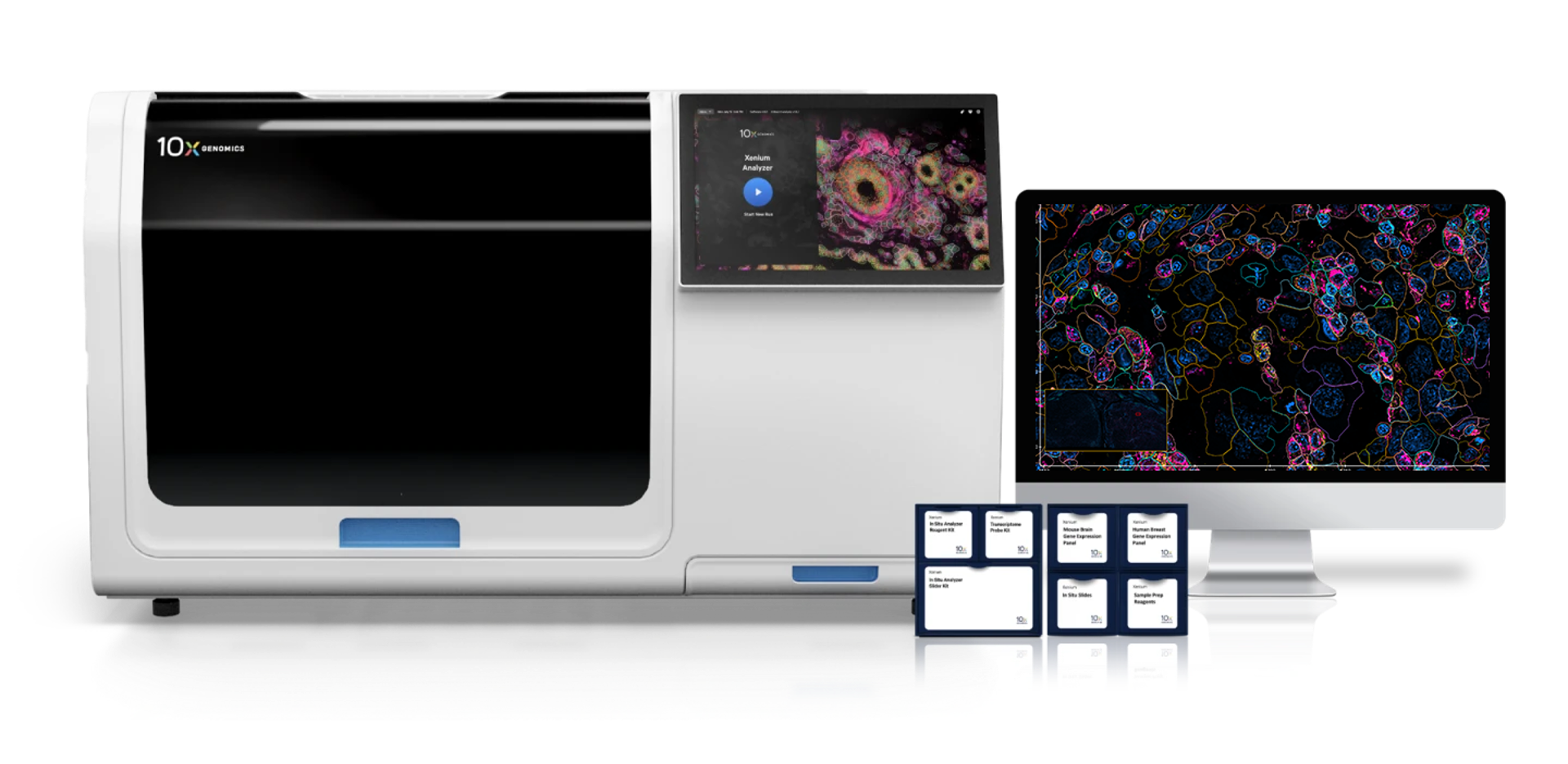 Xenium In Situ Prime 5K-gene Panels|均泰生物科技股份有限公司